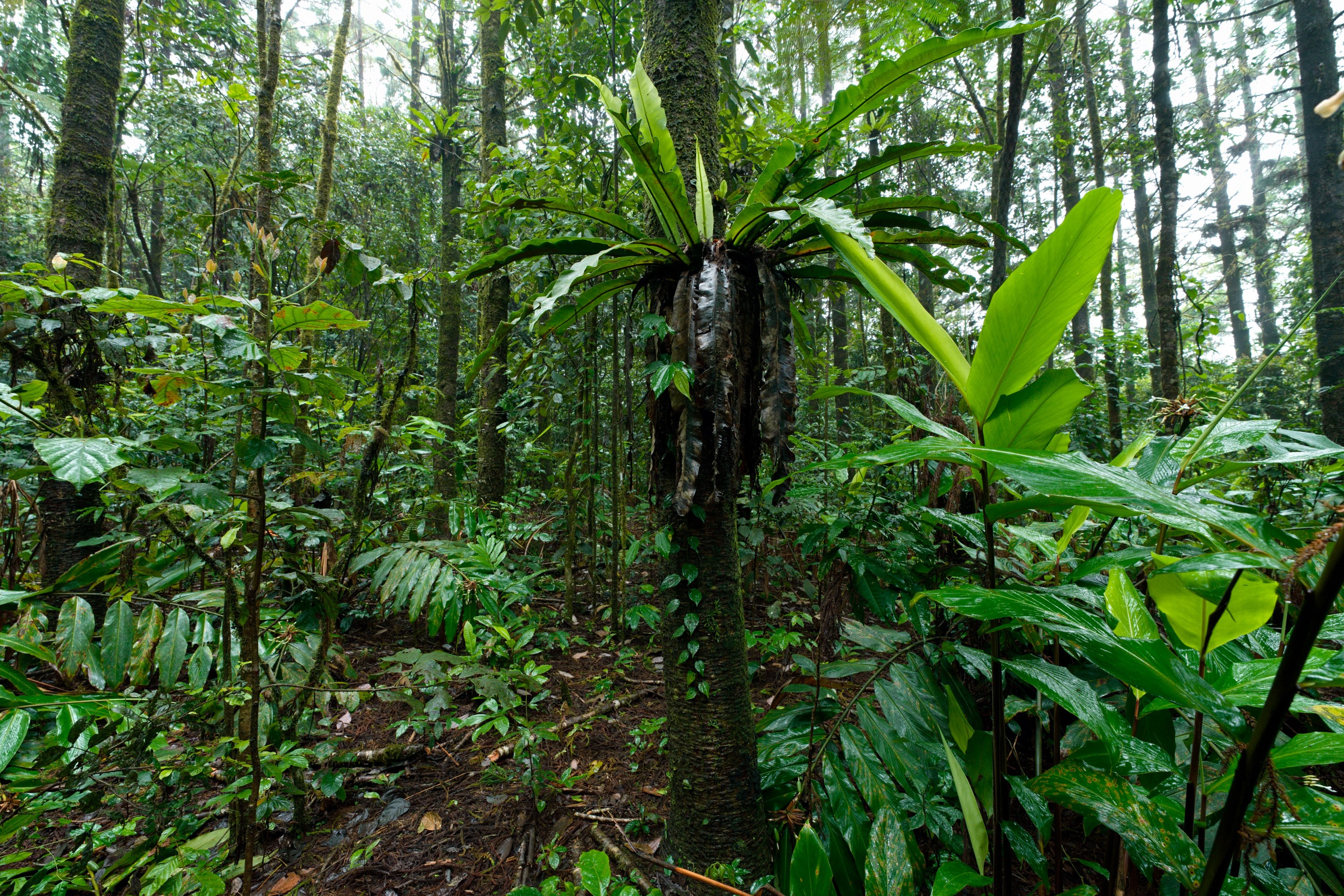 Wilderness Journal #036 | Wilderness Society