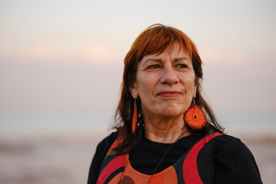 Wilderness Society | Wilderness Journal #034