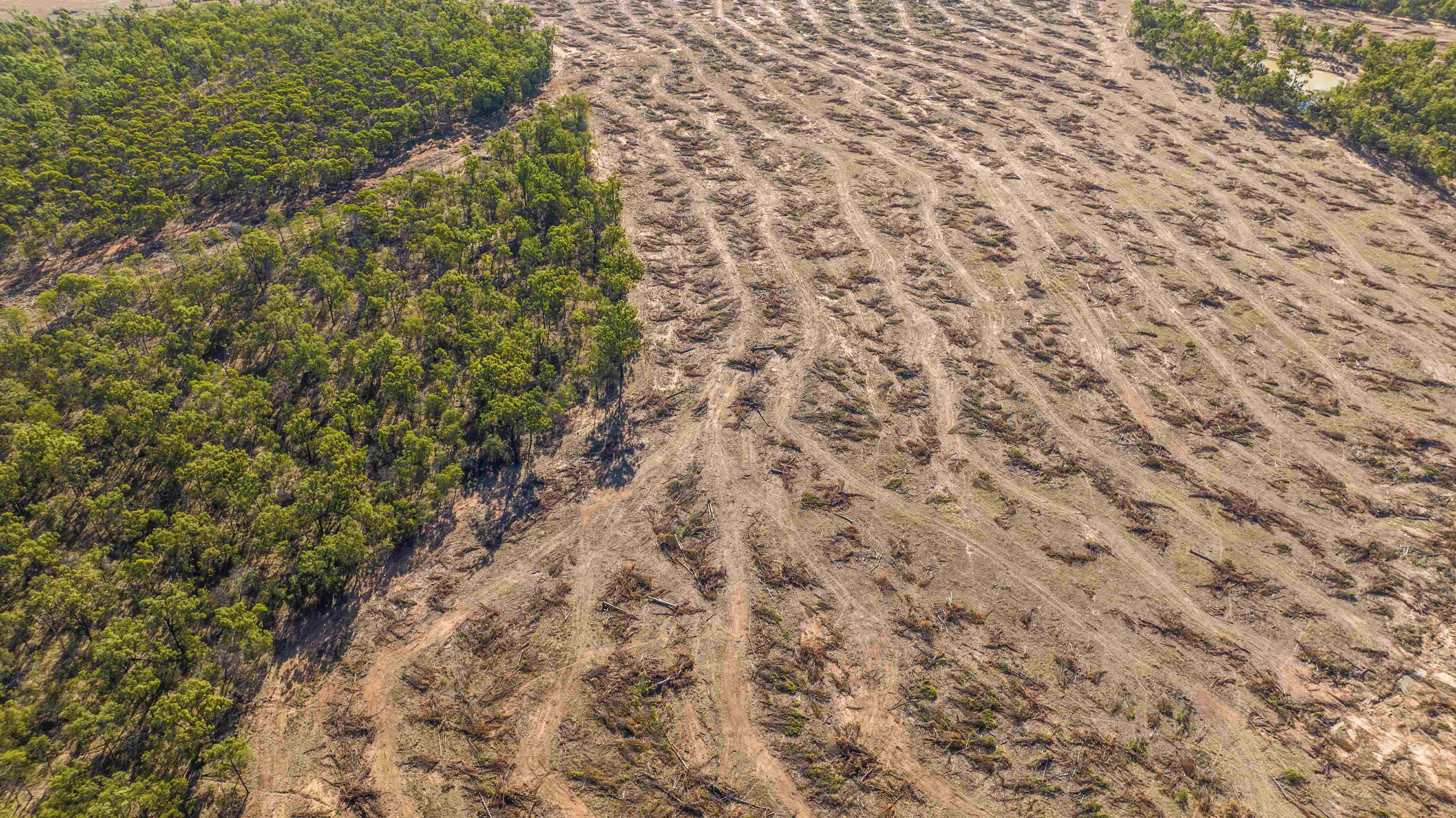 Wilderness Society | Highlights from January to March 2024