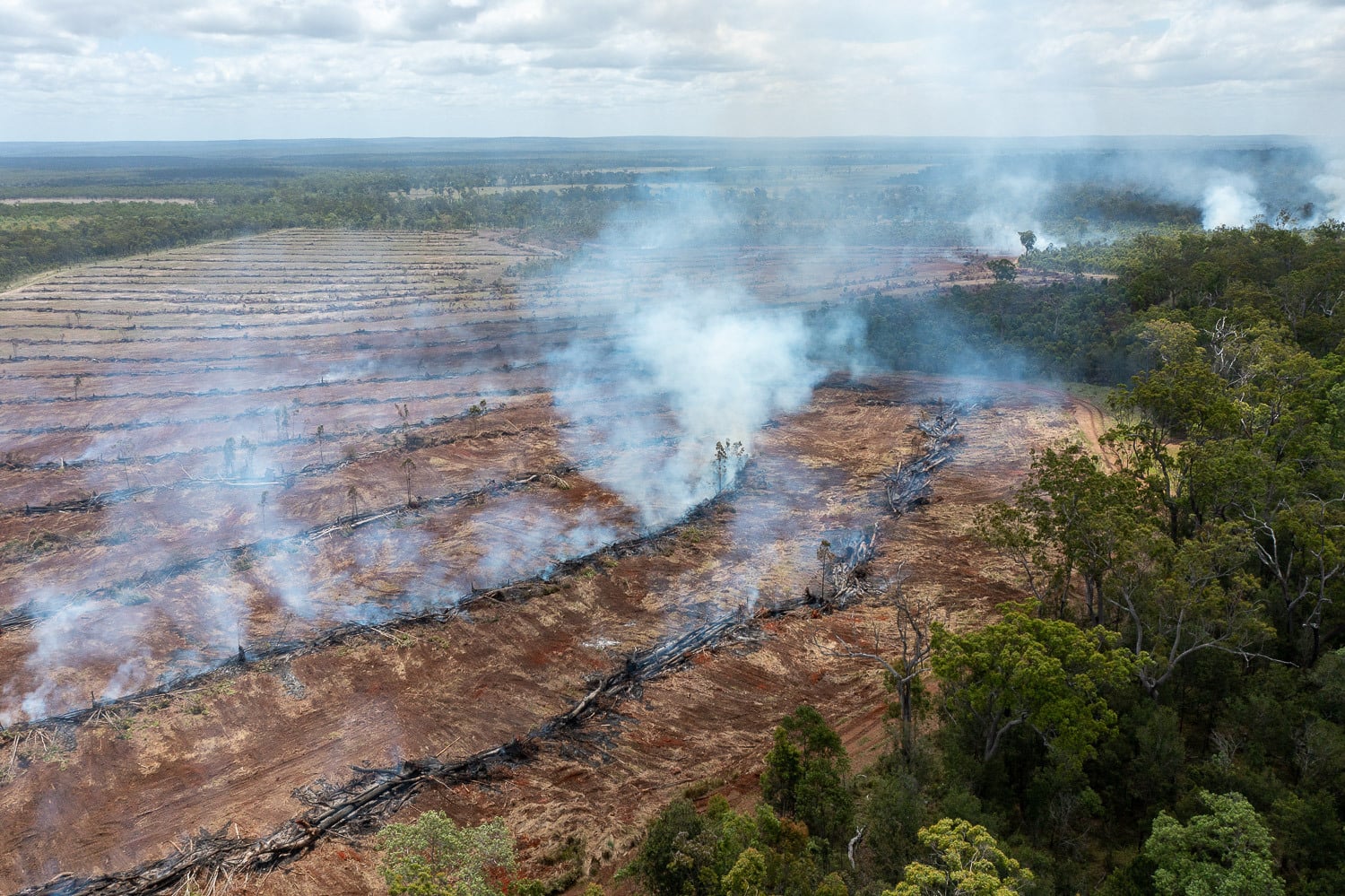 Study: Australians expect companies to take… | Wilderness Society