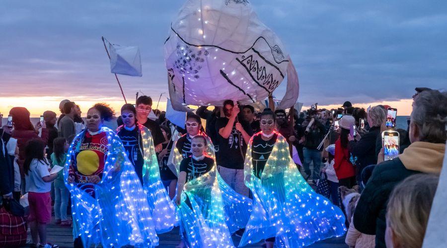 Wilderness Society | Great Australian Bight