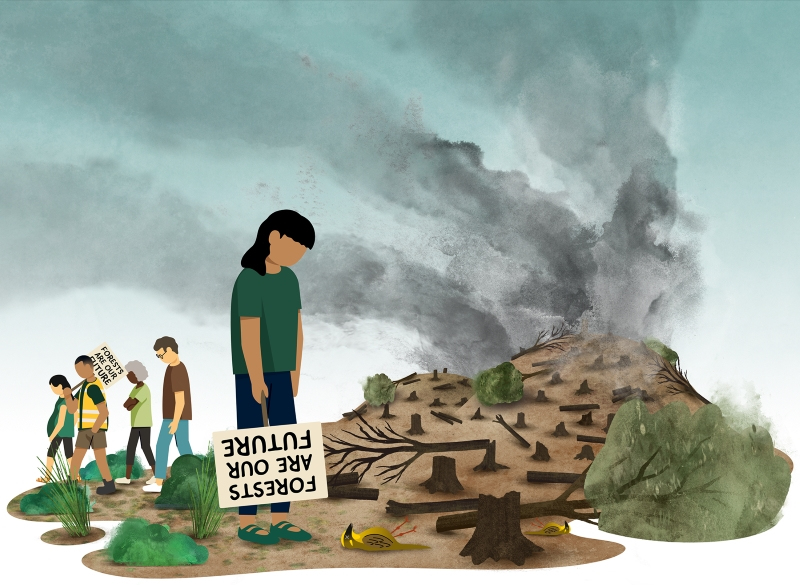 Wilderness Society | 3 of the worst EPBC Act failures for nature