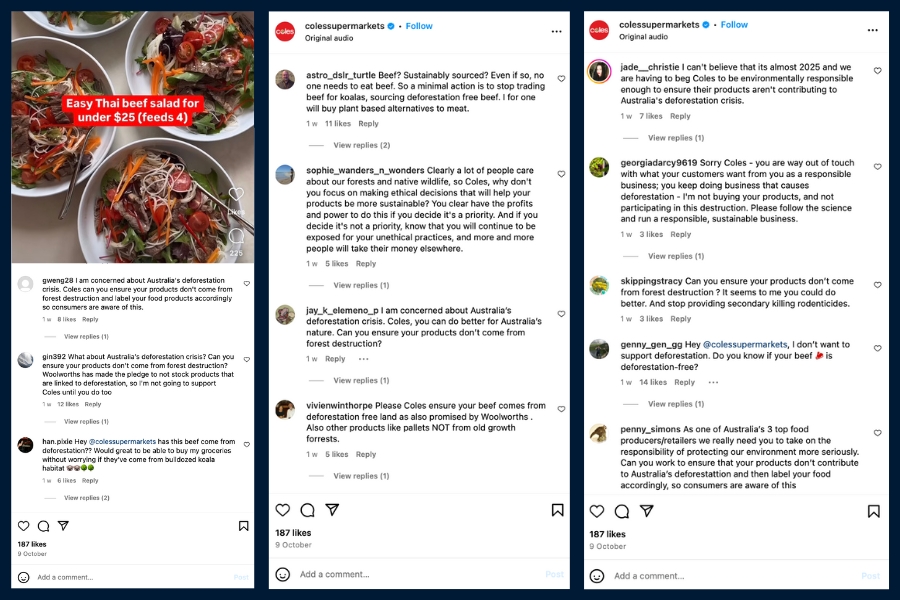 Coles & Woolies: Go deforestation-free! | Wilderness Society