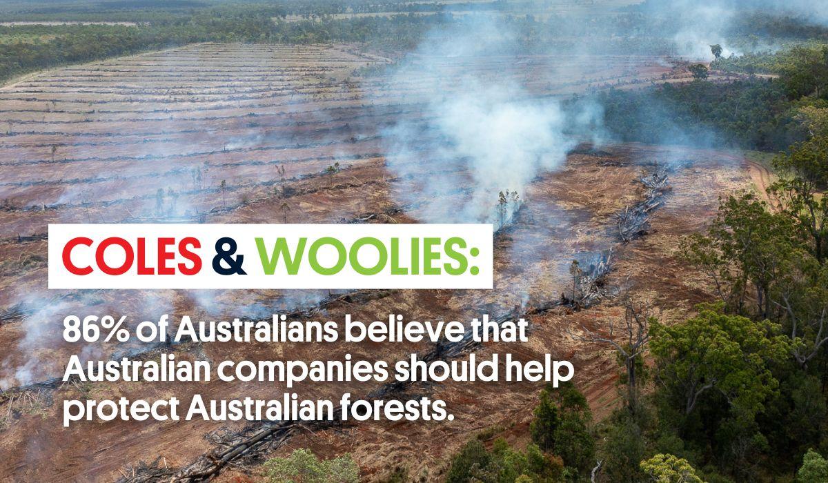 Study: Australians expect companies to take… | Wilderness Society