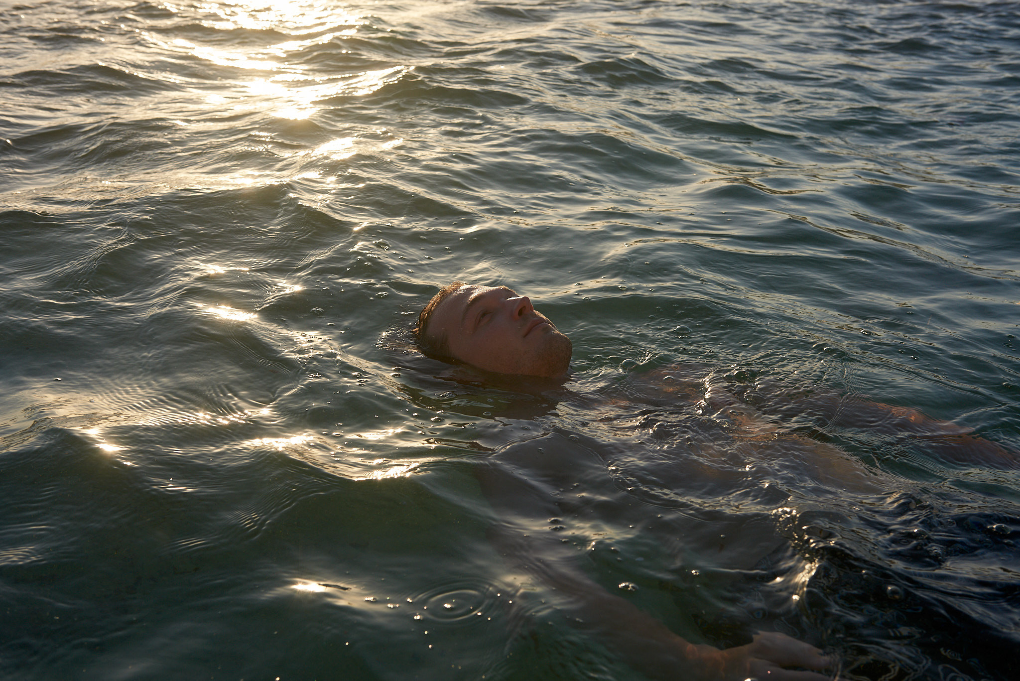 Wilderness Society | Wilderness Journal #031