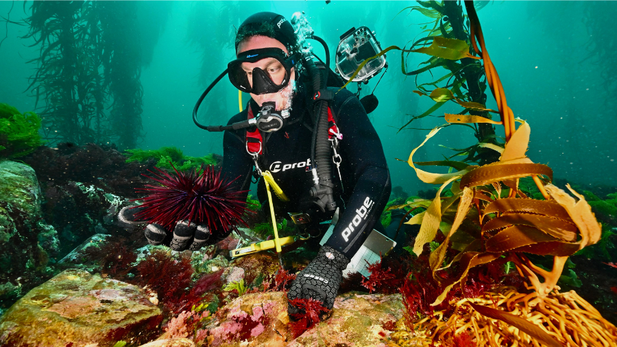 Wilderness Society | Wilderness Journal #031