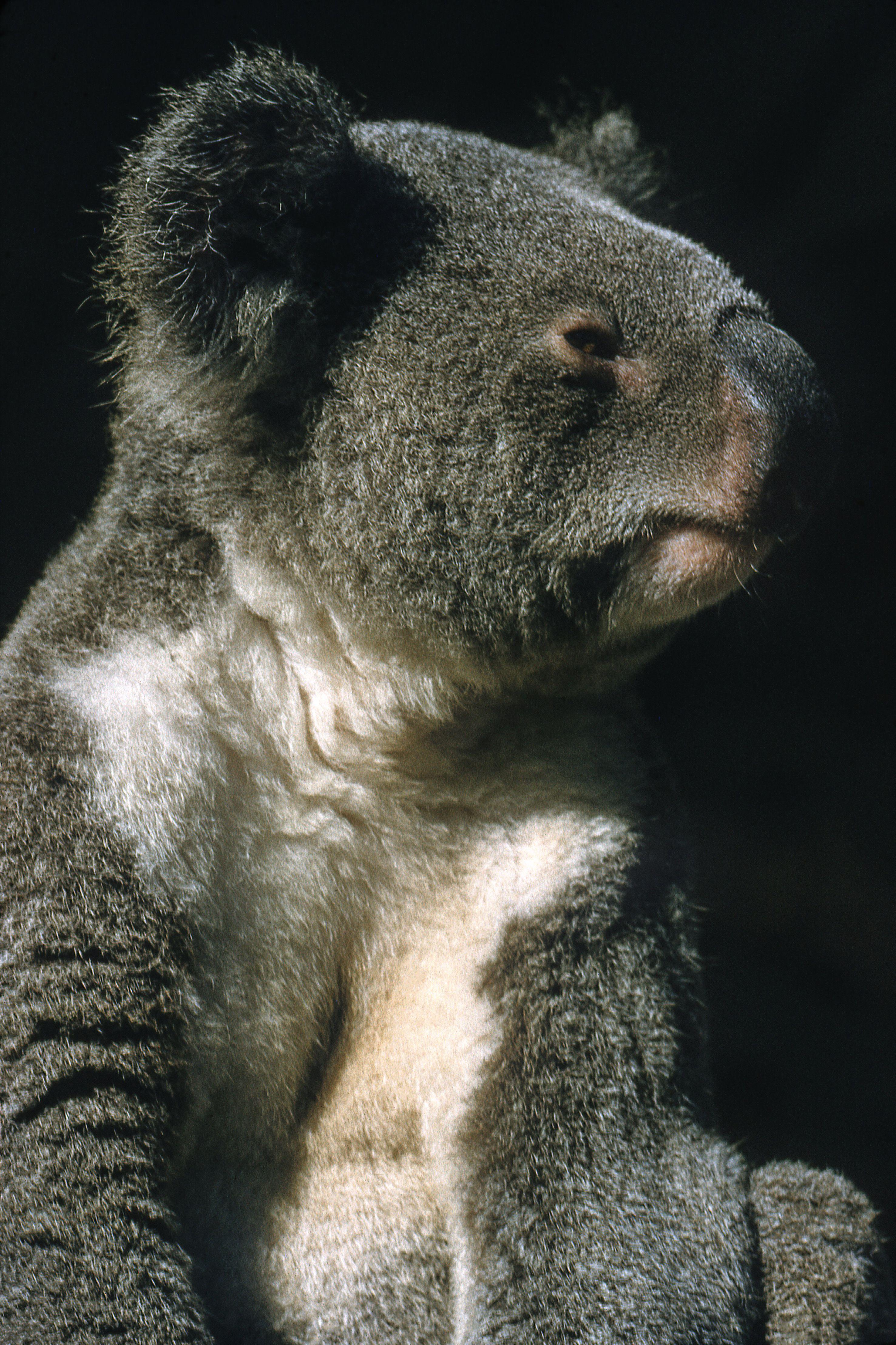 Wilderness Society | Wilderness Journal #030