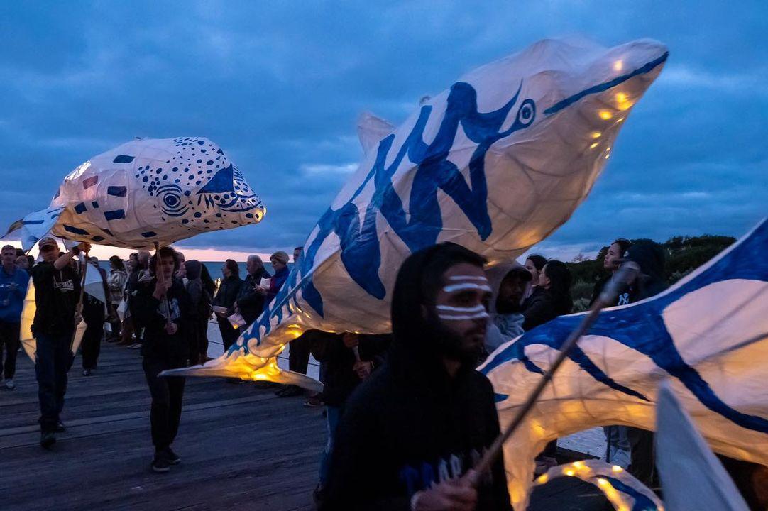 Wilderness Society | Great Australian Bight