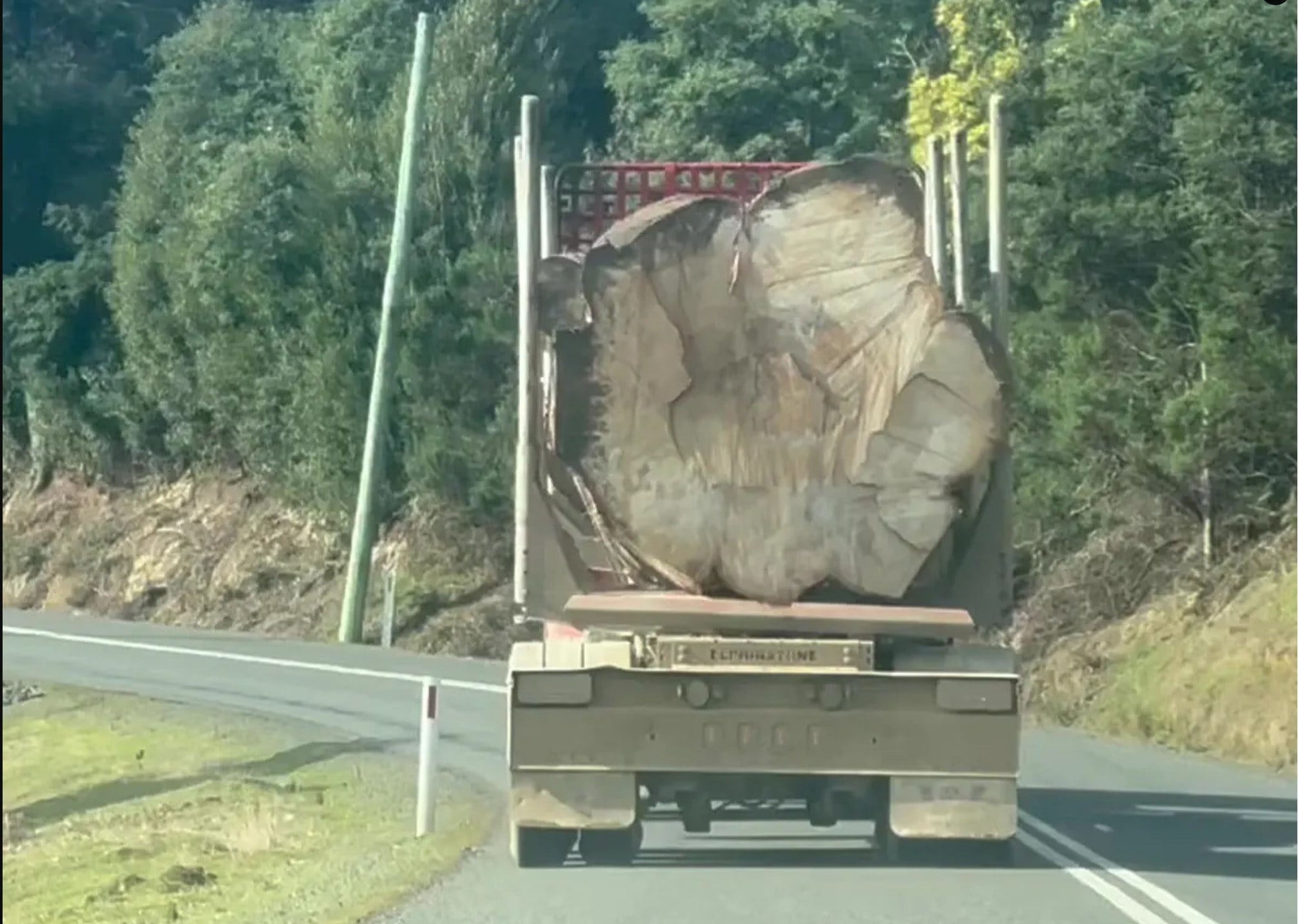 Wilderness Society | Deforestation explained