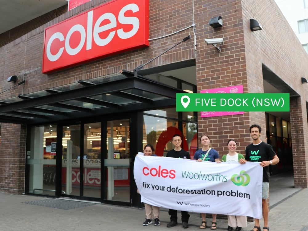 Coles & Woolies: Go deforestation-free! | Wilderness Society