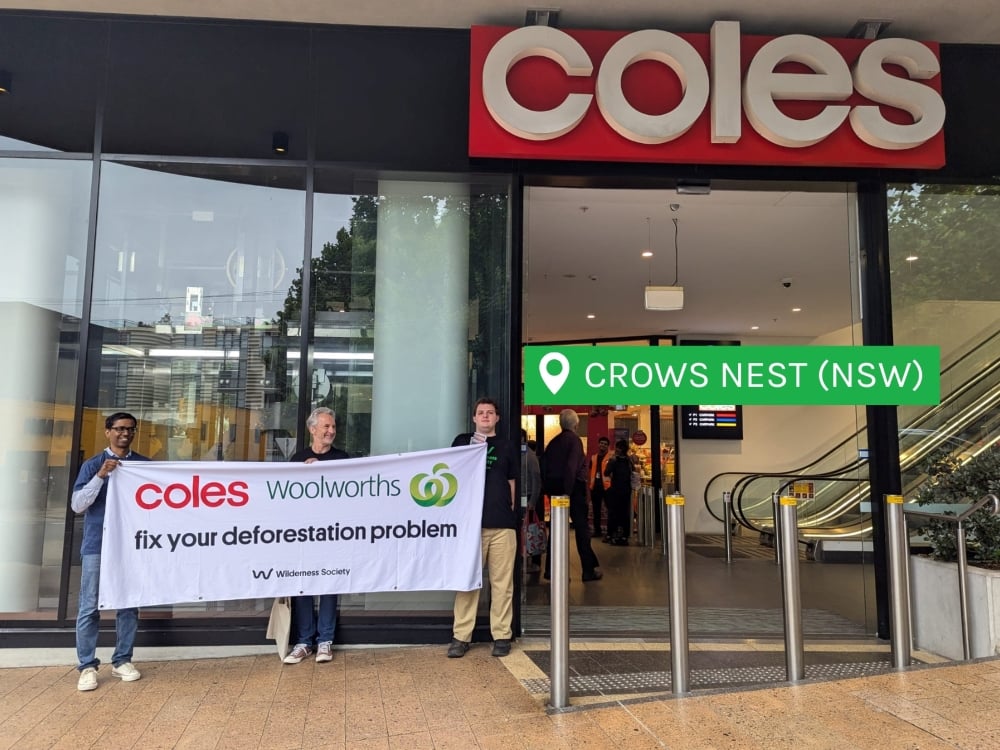 Coles & Woolies: Go deforestation-free! | Wilderness Society
