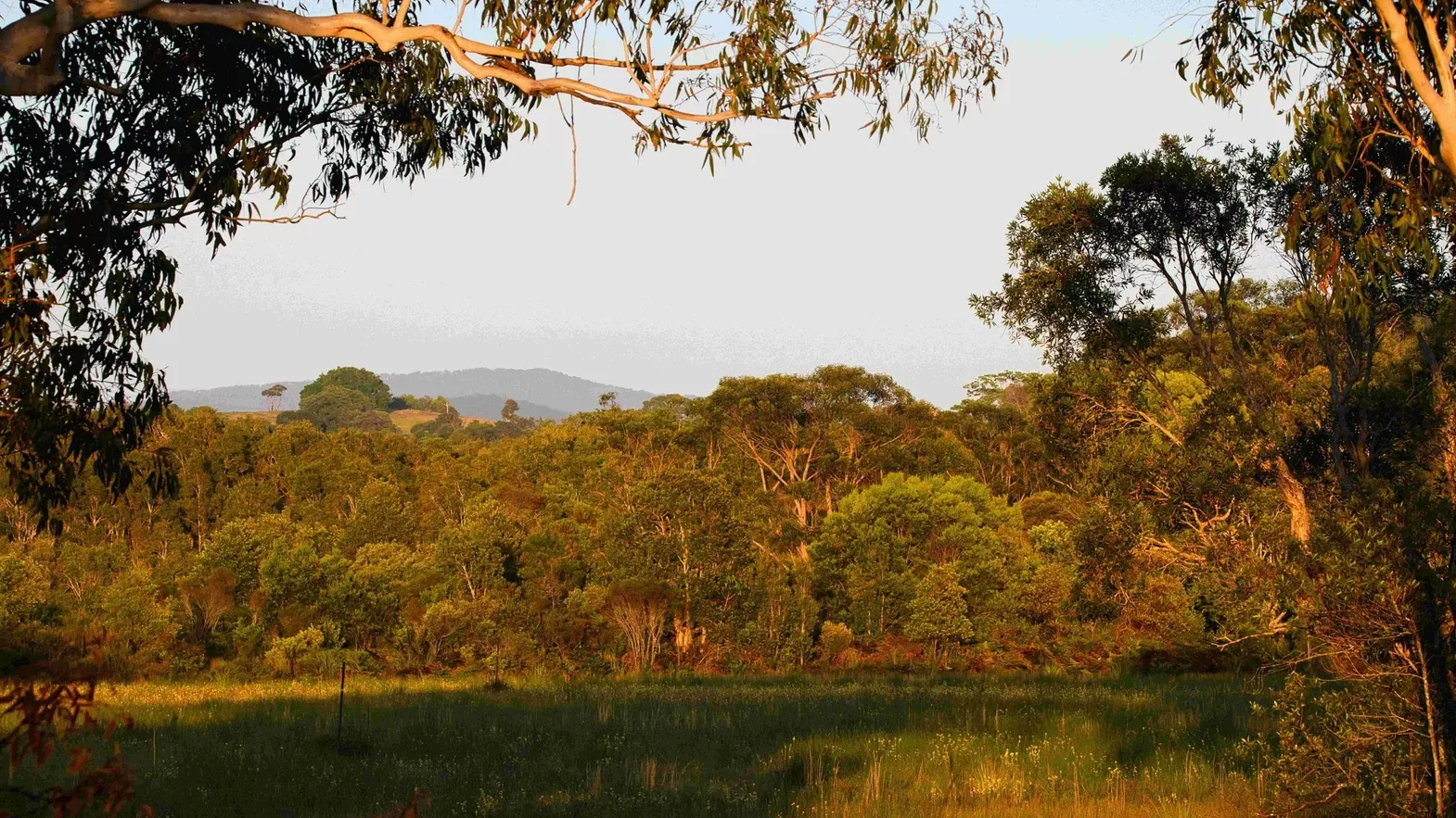 Wilderness Society | Community right to Save Wallum