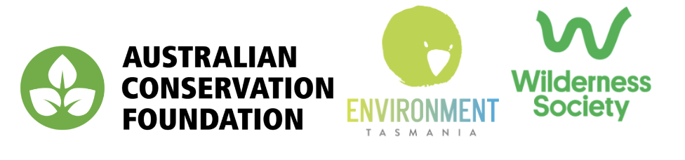 Wilderness Society | Forests of Lutruwita / Tasmania