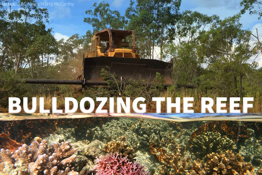 The top four ways deforestation impacts the Great | Wilderness Society