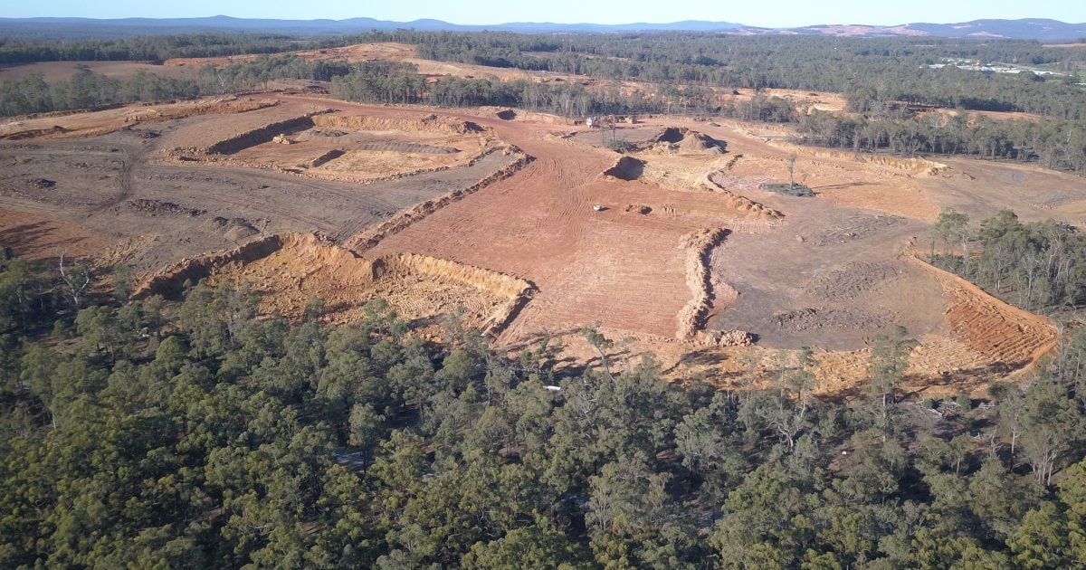 Wilderness Society | Deforestation explained