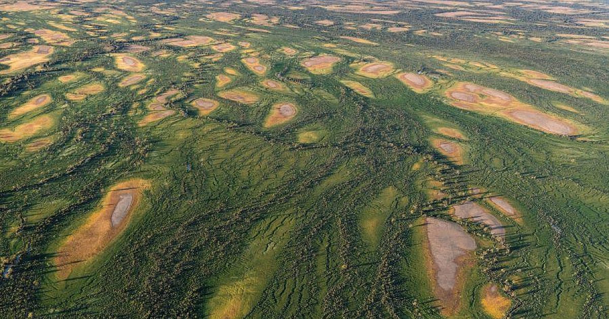 Wilderness Society | Protections announced for QLD Channel Country…