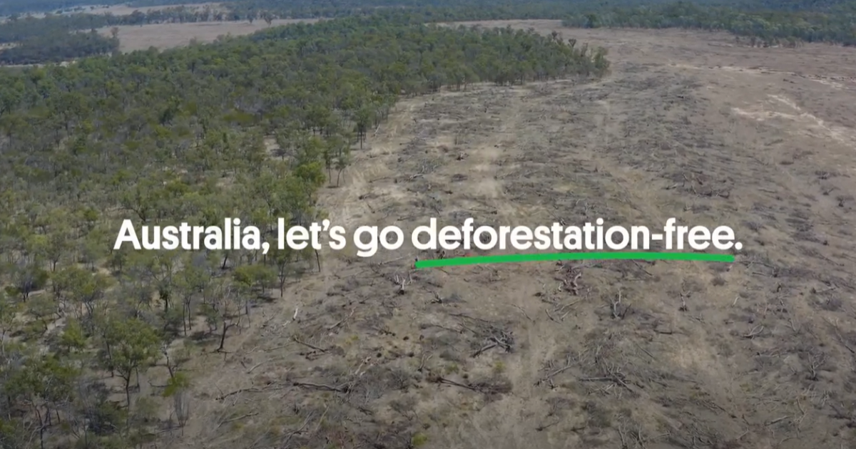 Wilderness Society | 5 ways you can help stop deforestation now