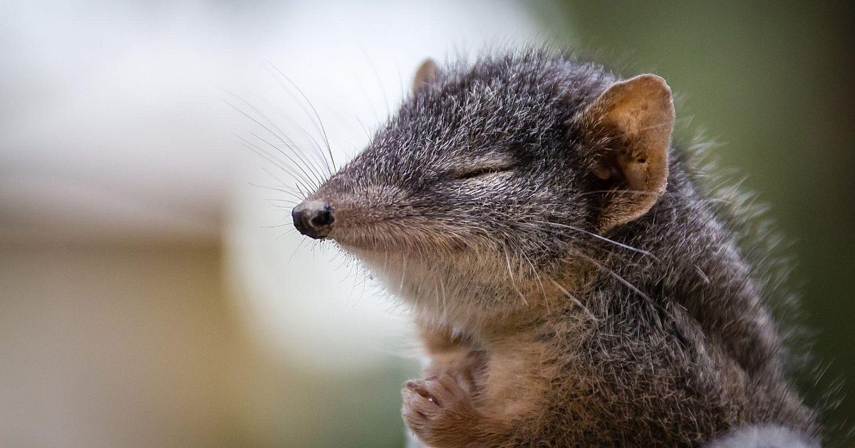 Wilderness Society | Frustrated with poor nature funding? Voice your…