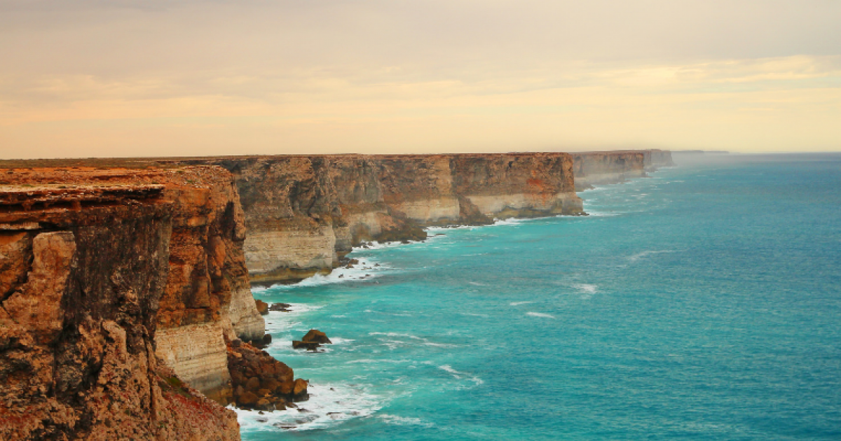 Wilderness Society | Great Australian Bight
