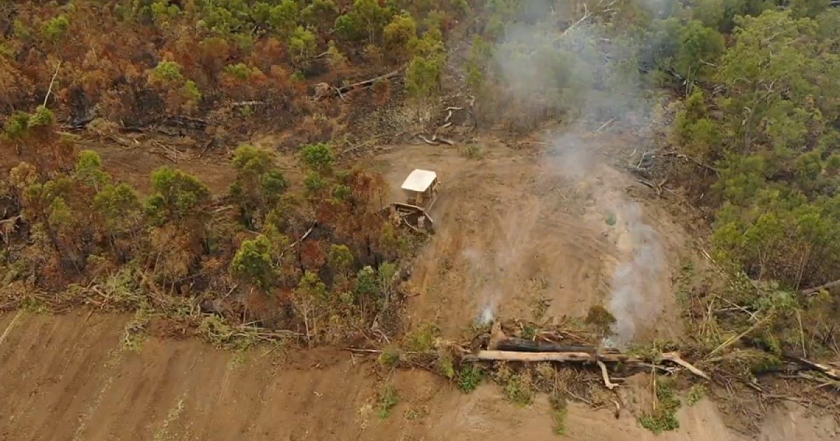 Wilderness Society | Large-scale deforestation and land clearing…