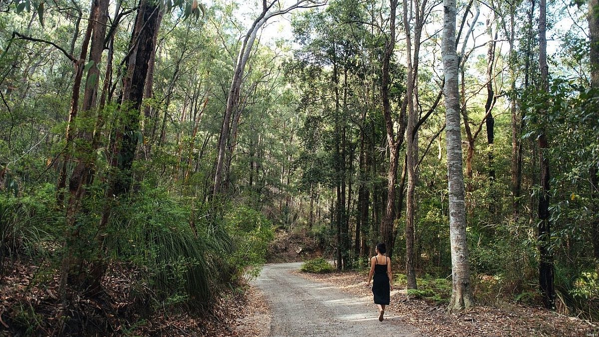 Wilderness Society | Nature positive