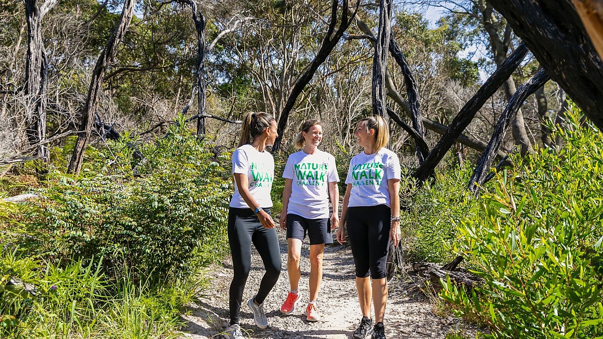 Wilderness Society | Protecting nature, stopping deforestation