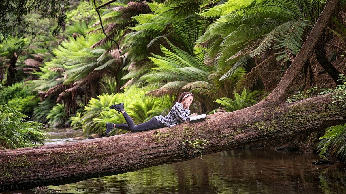 Wilderness Society | Nature Book Week