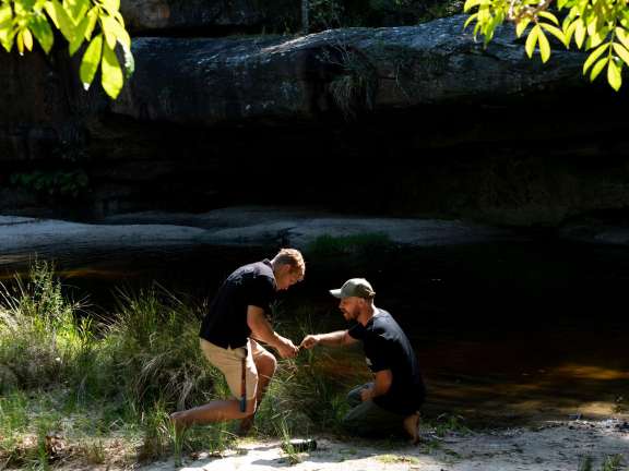 Wilderness Society | Wilderness Journal