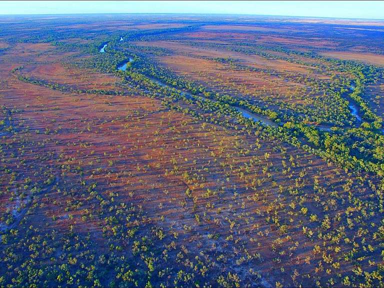 Wilderness Society | Protecting nature and wildlife