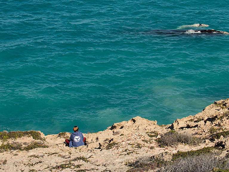 Wilderness Society | Great Australian Bight