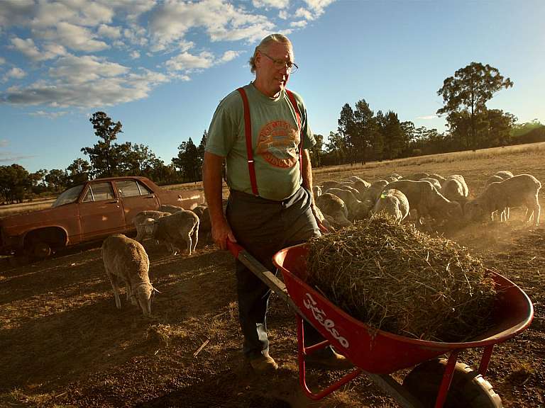 Wilderness Society | The Pilliga