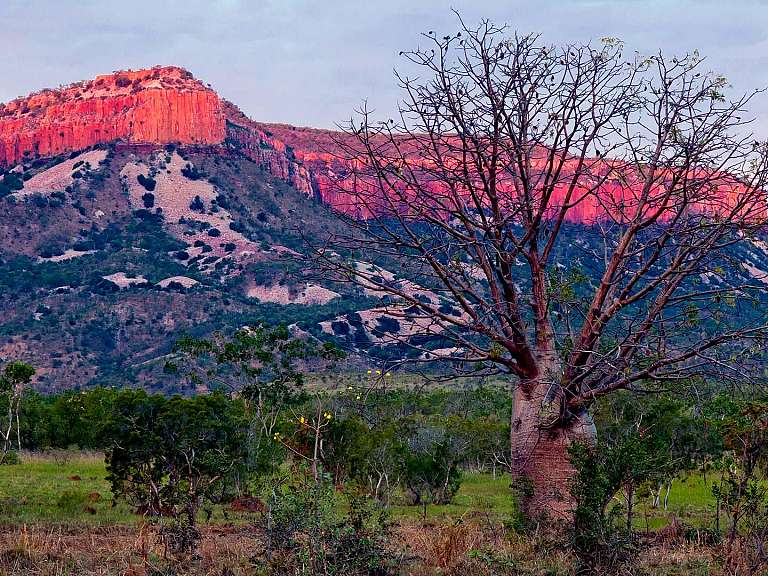 Wilderness Society | Frack-free Kimberley