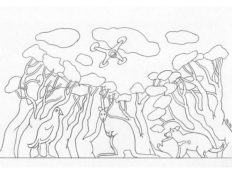 Wilderness Society | Wilderness Journal #030