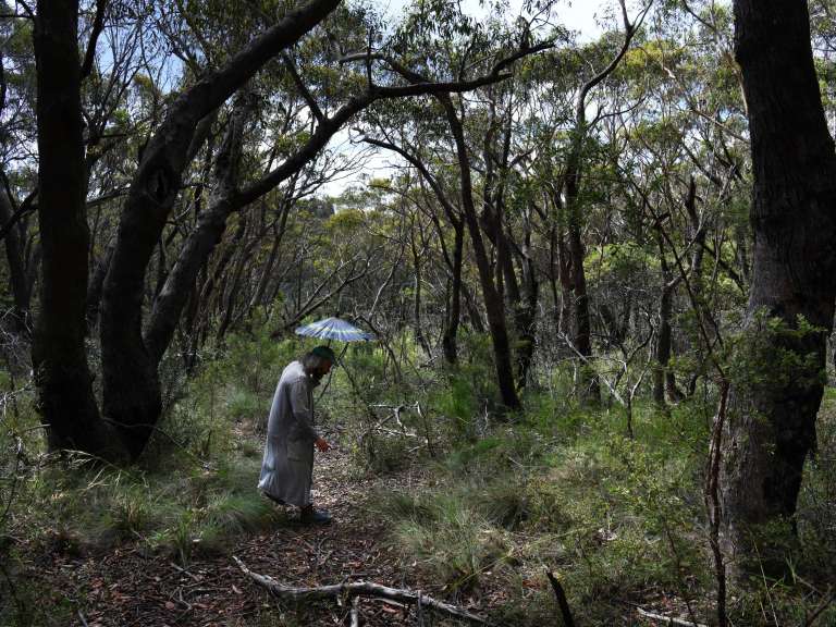 Wilderness Society | Wilderness Journal