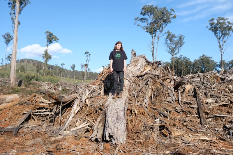 Wilderness Society | Deforestation explained