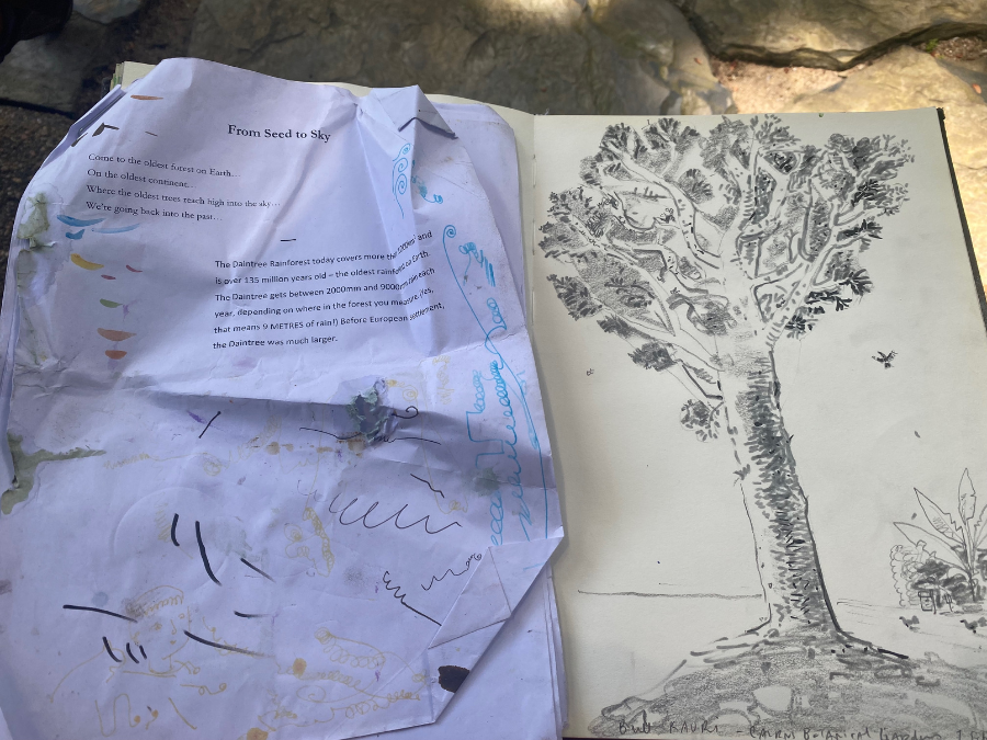 Wilderness Society | Wilderness Journal #034